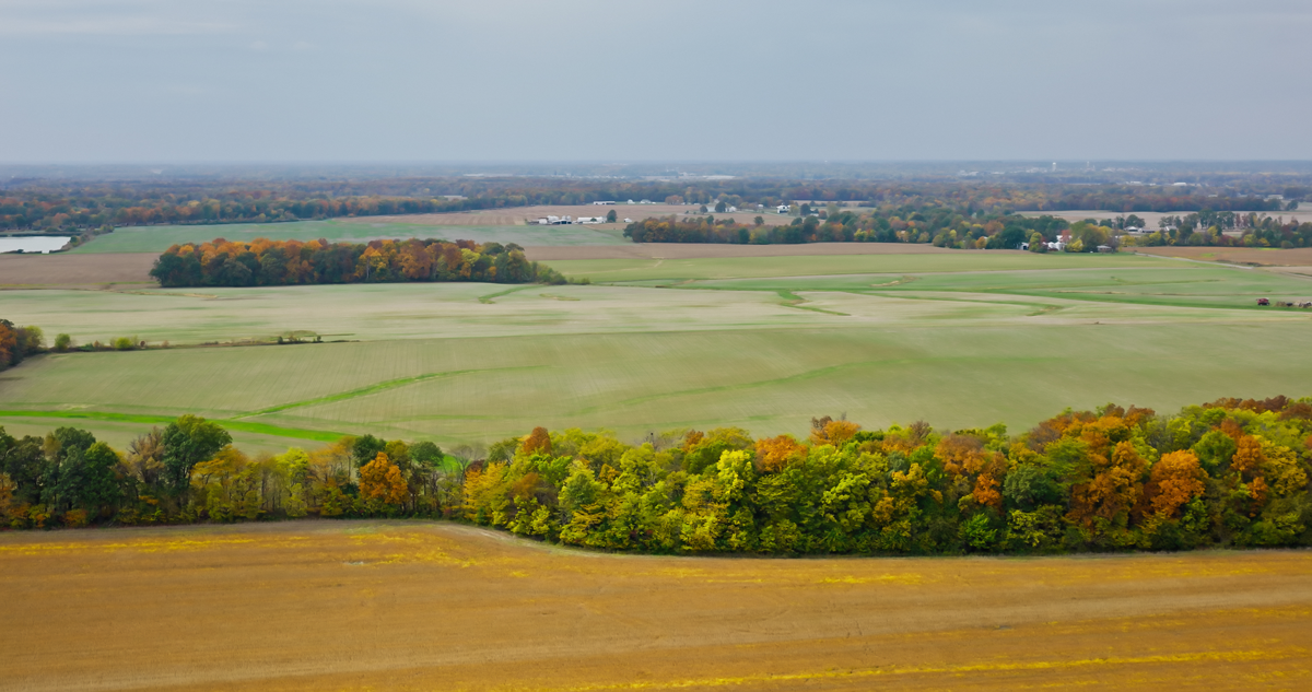 Custom Label Printing | Sugar Grove, Illinois | KDV Label - KDV Label